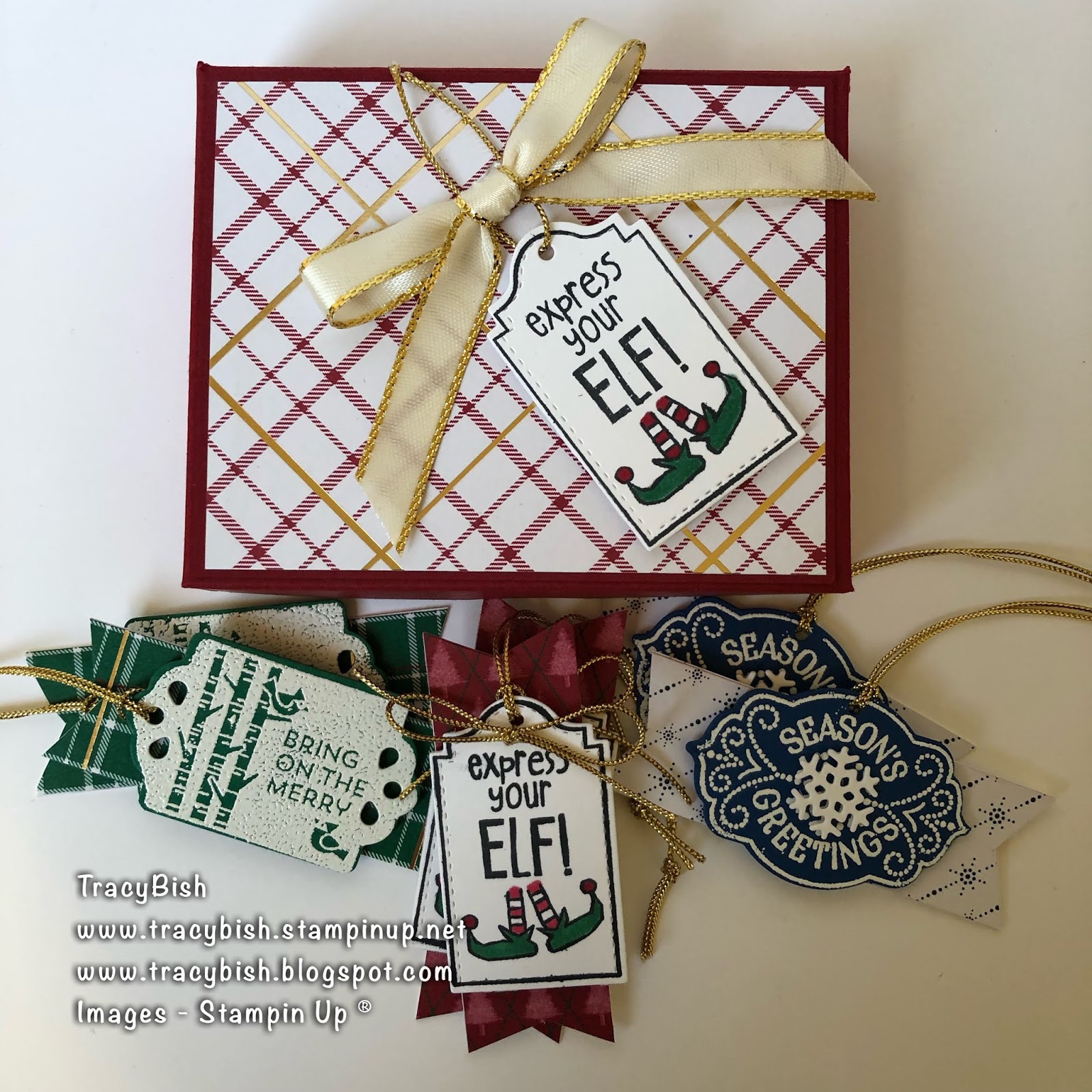 Stampin Up's "TAGS TAGS TAGS" Bundle Box - Tracy Bish