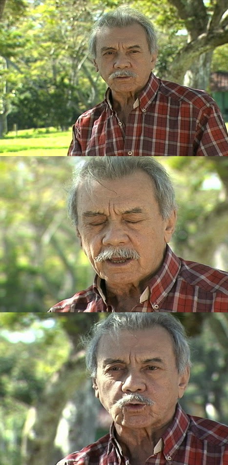 DINO FRANCO - (77 anos) Cantor * Paraguaçu Paulista, SP (08/09/1936 ...