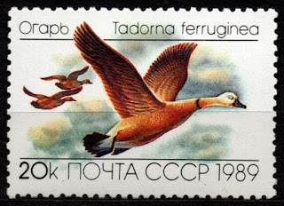 Wild Birds in Philately: USSR