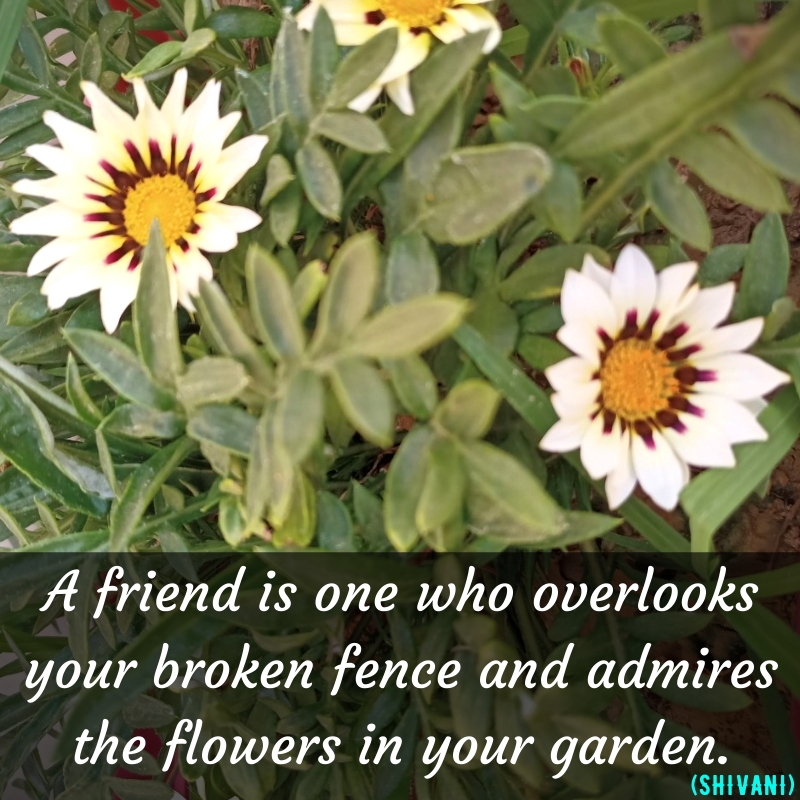 Best 30 Inspirational Flower Quotes With Beautiful Pictures-Quotes ...