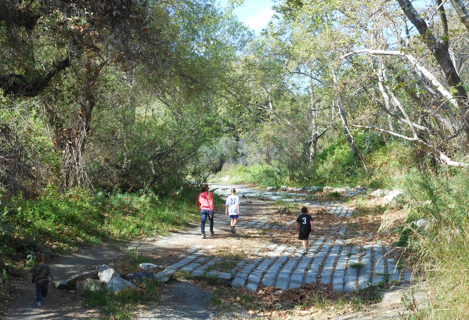 1000 Hikes in 1000 Days: Day 468: Sullivan Canyon Trail - Westridge ...