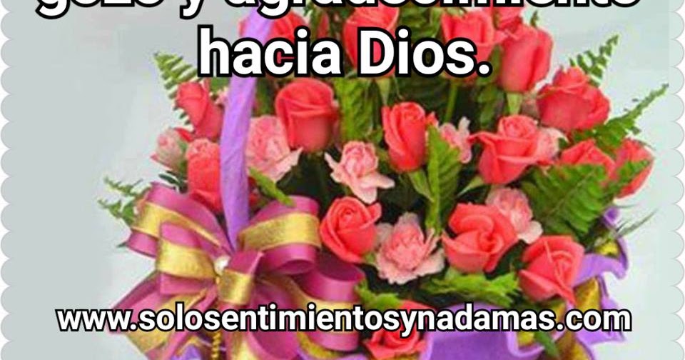 Éste día vívelo con gozo y agradecimiento hacia Dios. - Solo ...