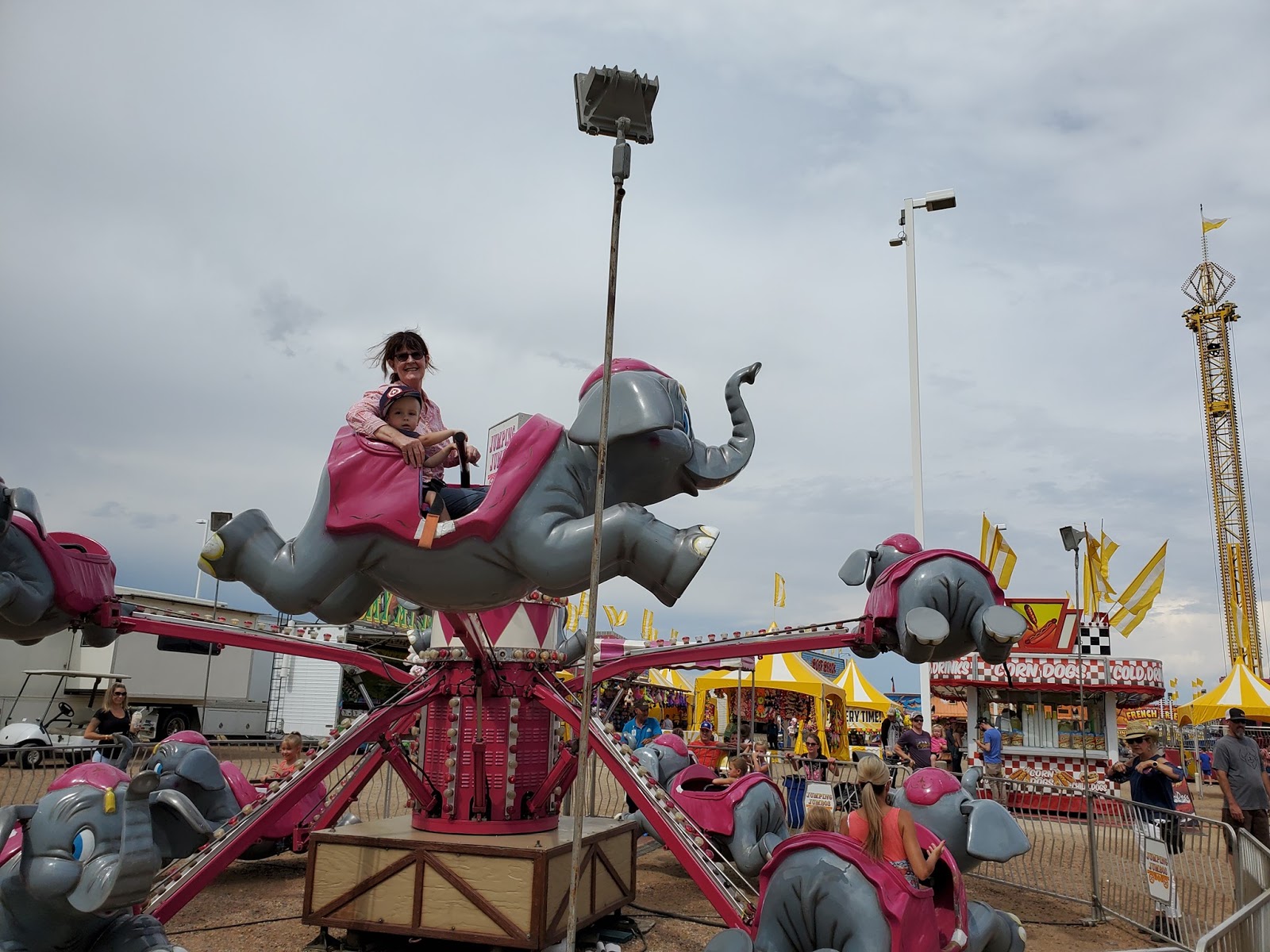 Every Blade of Grass: A Day at the Larimer County Fair