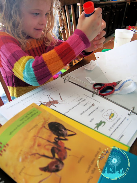 Excellent Hands-on, Literature-Based Science Curriculum for ...