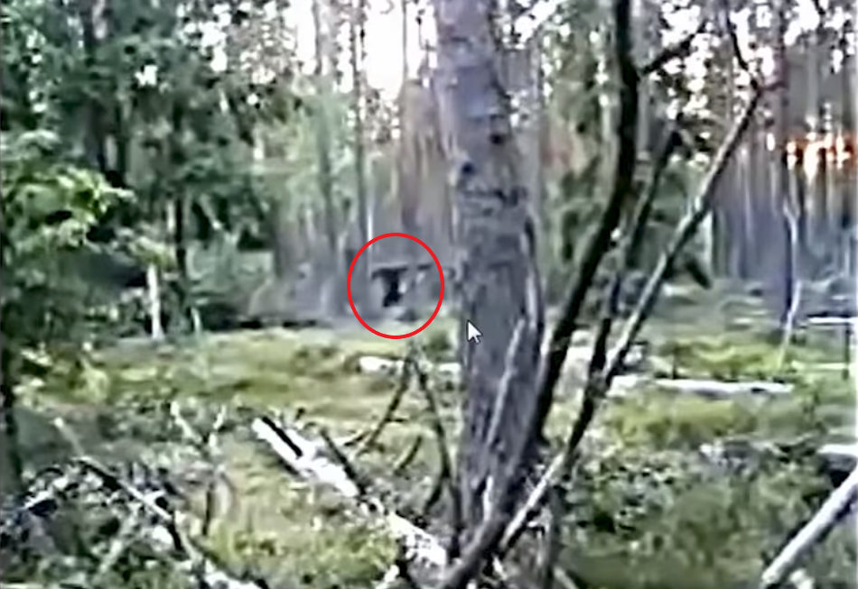 RMSO Bigfoot: Closer Look at Side Hopping Russian Yeti Video
