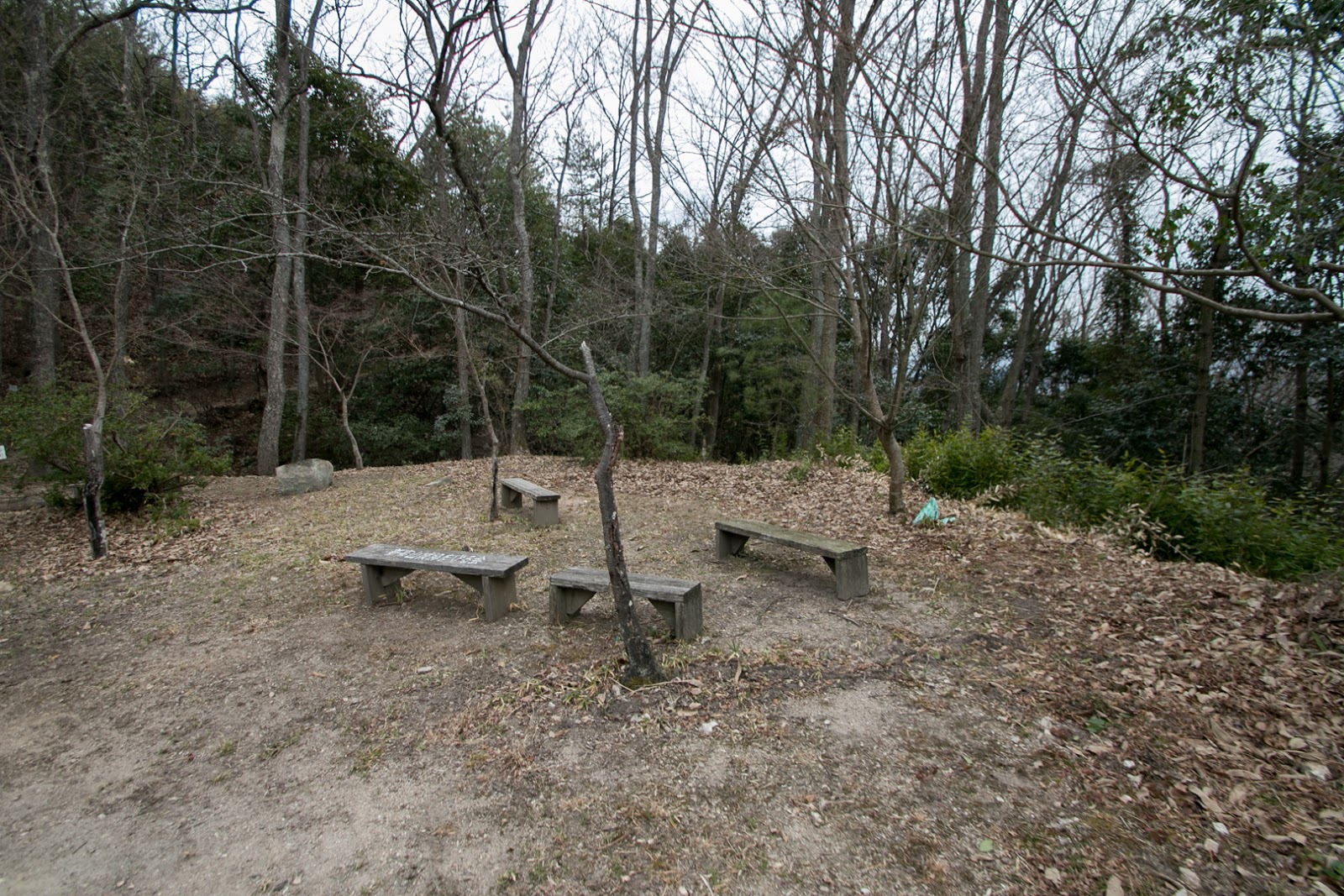 Niitakayama Castle -Intellectual pillar of Mouri clan (2)- | Japan ...