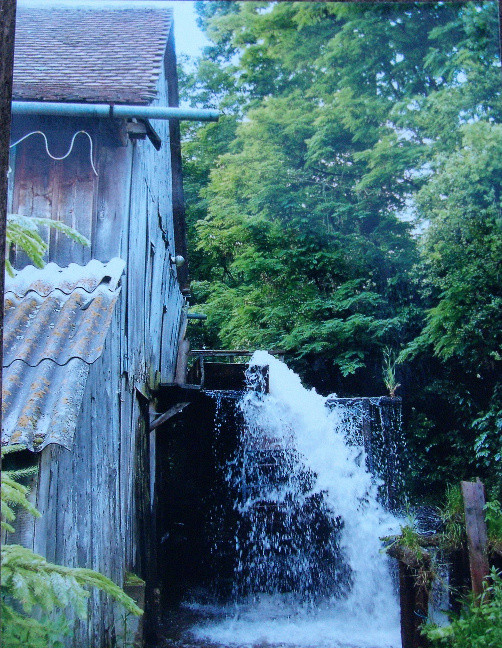 jurnal de calatorie prin Tara Fagarasului: Moara veche cu noroc din Ohaba