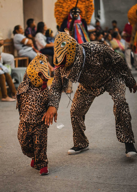 Historia de la región limítrofe Sur Morelos y Puebla: Tlacololeros