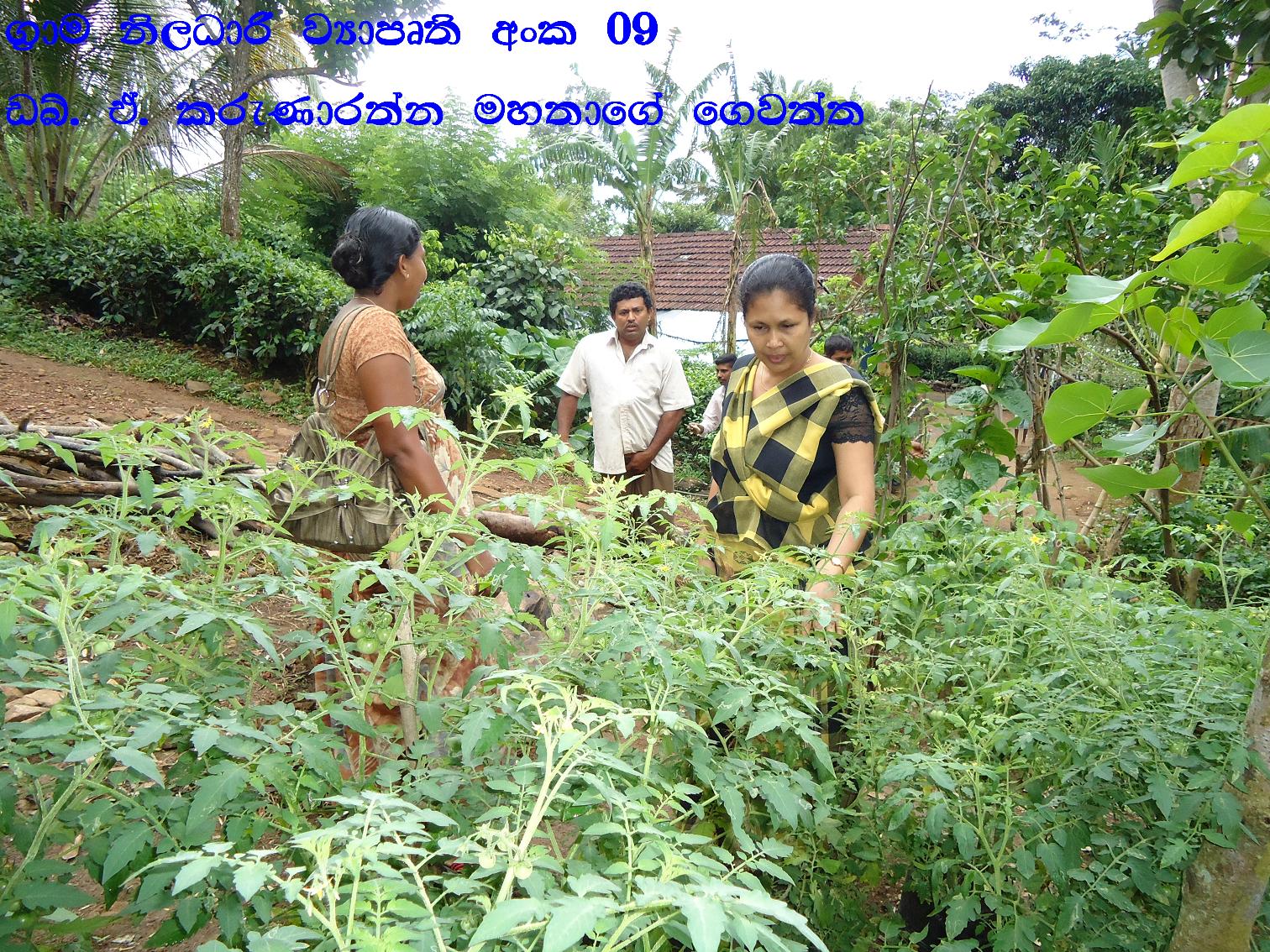 Rammala Divi Neguma: ග්‍රාම නිලධාරි ව්‍යාපෘති