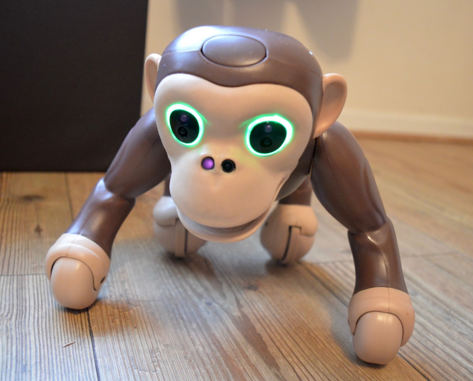 Zoomer Chimp - A 'Must Have' Toy for Christmas 2016 | A Review | North ...