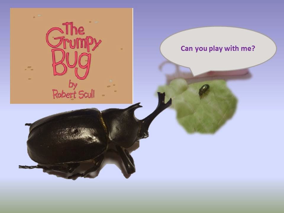 雪莉安繪本Plus - 生活點滴: The Grumpy Bug