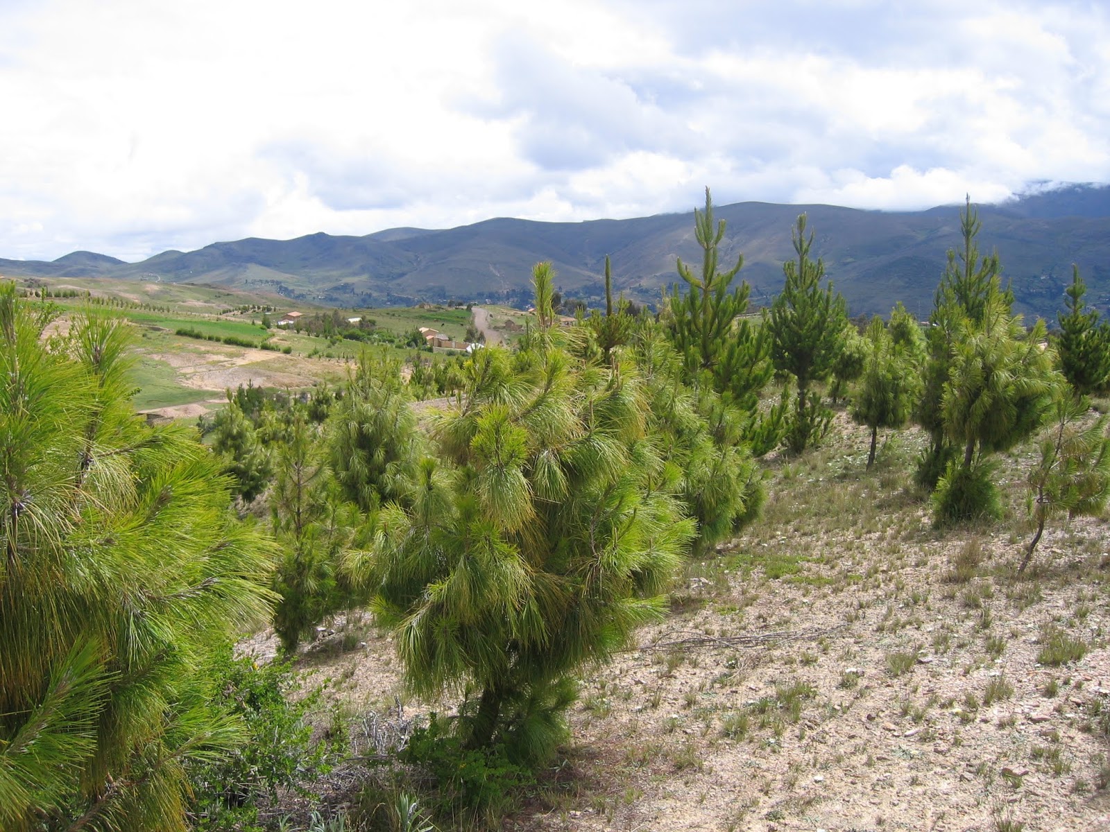 guia Cusco Peru: Visitando el Mirador de la Comunidad de Cuyuni ...