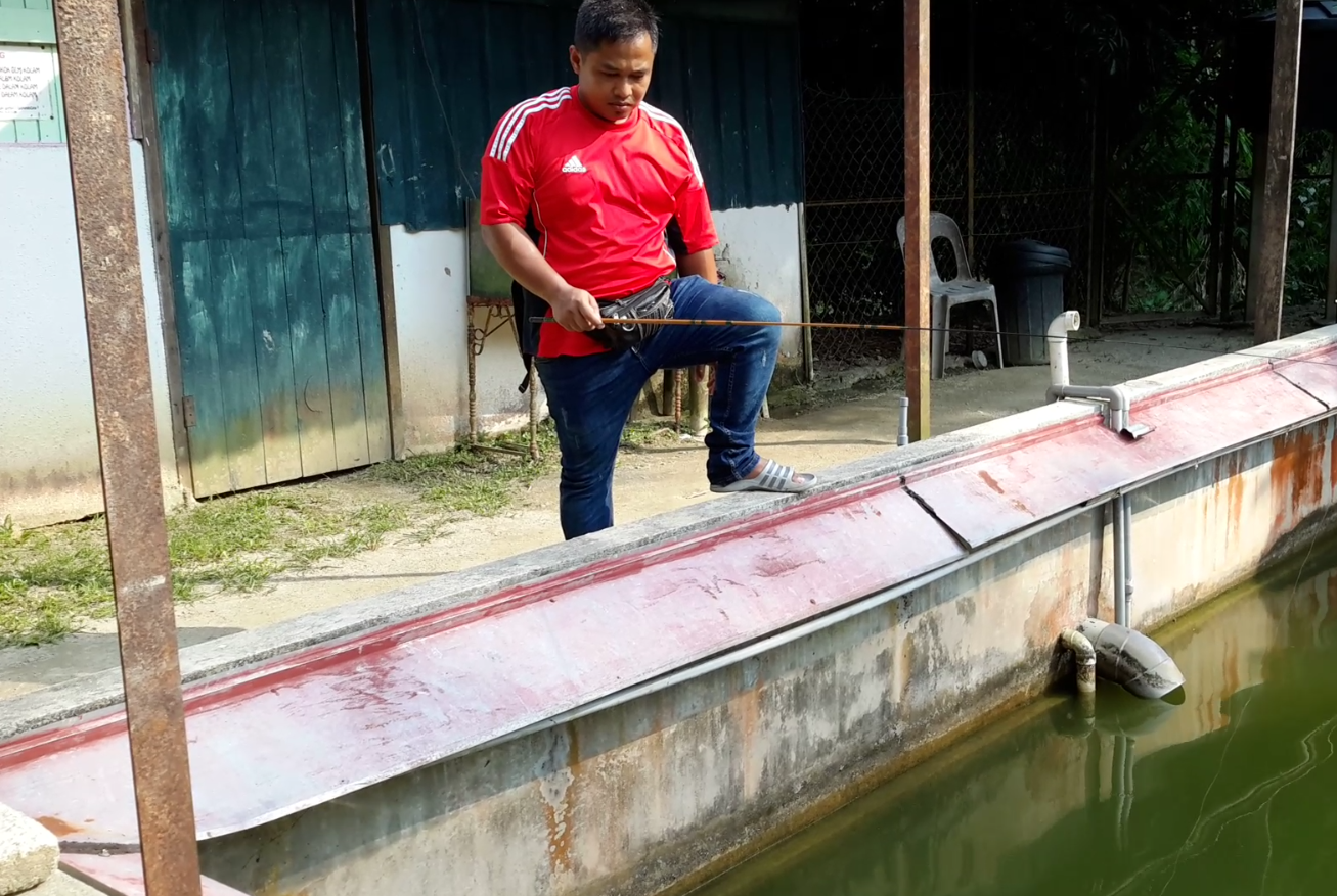 JoranPancing: Kolam Norhamzah port terbaik pancing udang galah di ...