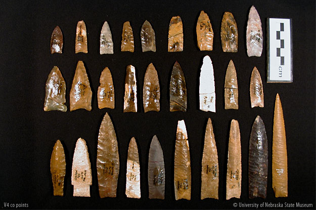 SHADOWS on the TRAIL Pentalogy - Let the Adventures Begin!: Who Dun It ...