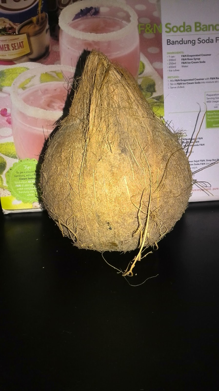 namakucella: TEMPURUNG JANTAN vs TEMPURUNG BETINA