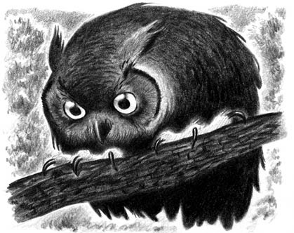 Hooked on Books: Poppy