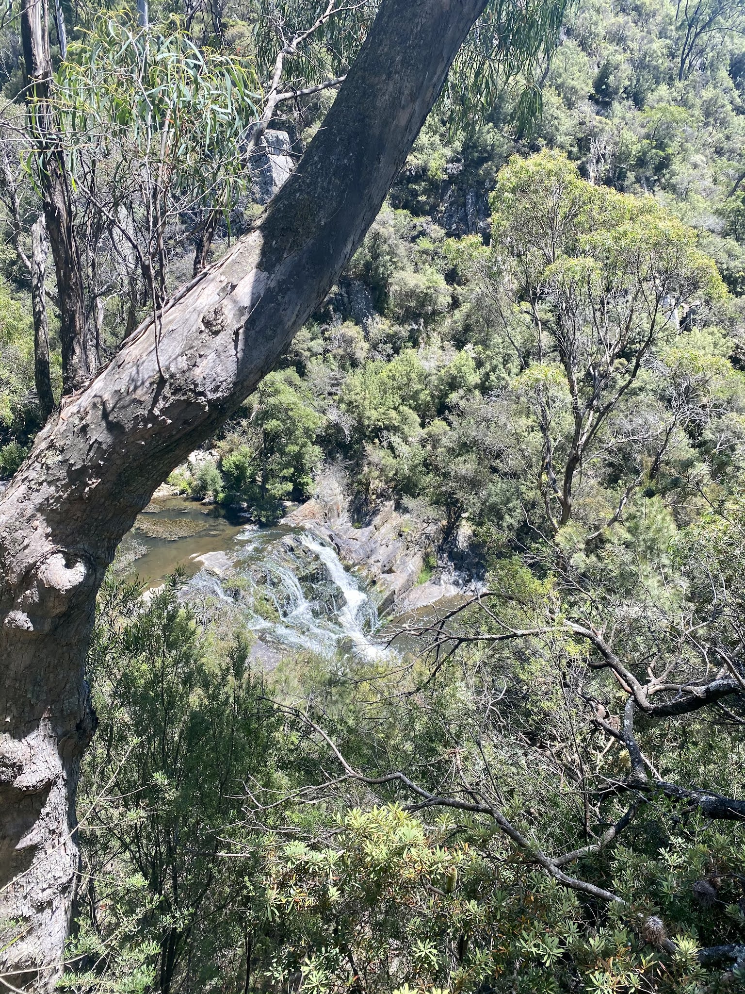 A Swim at Lobster Falls
