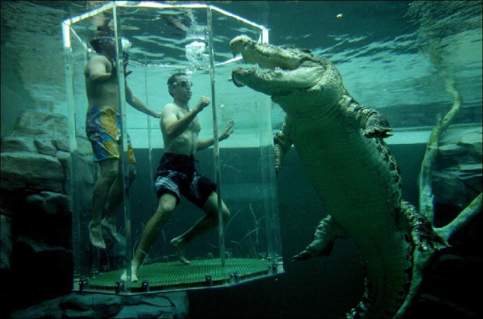 Diving with crocodiles in death cage | TRAVEL THE WORLD