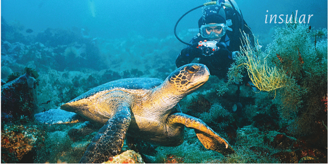 juan charris : Region insular