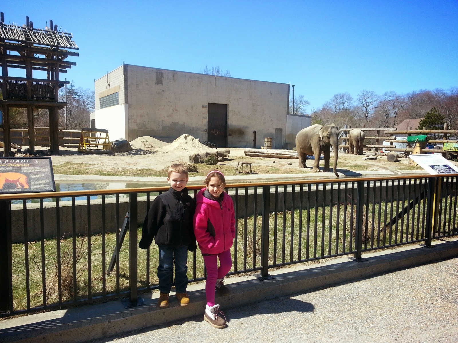 Love Life Laugh Learn: BABAR, To Duet or Not to Duet