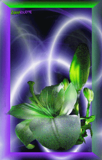 7+ Gambar Bunga Mawar Bergerak Gif