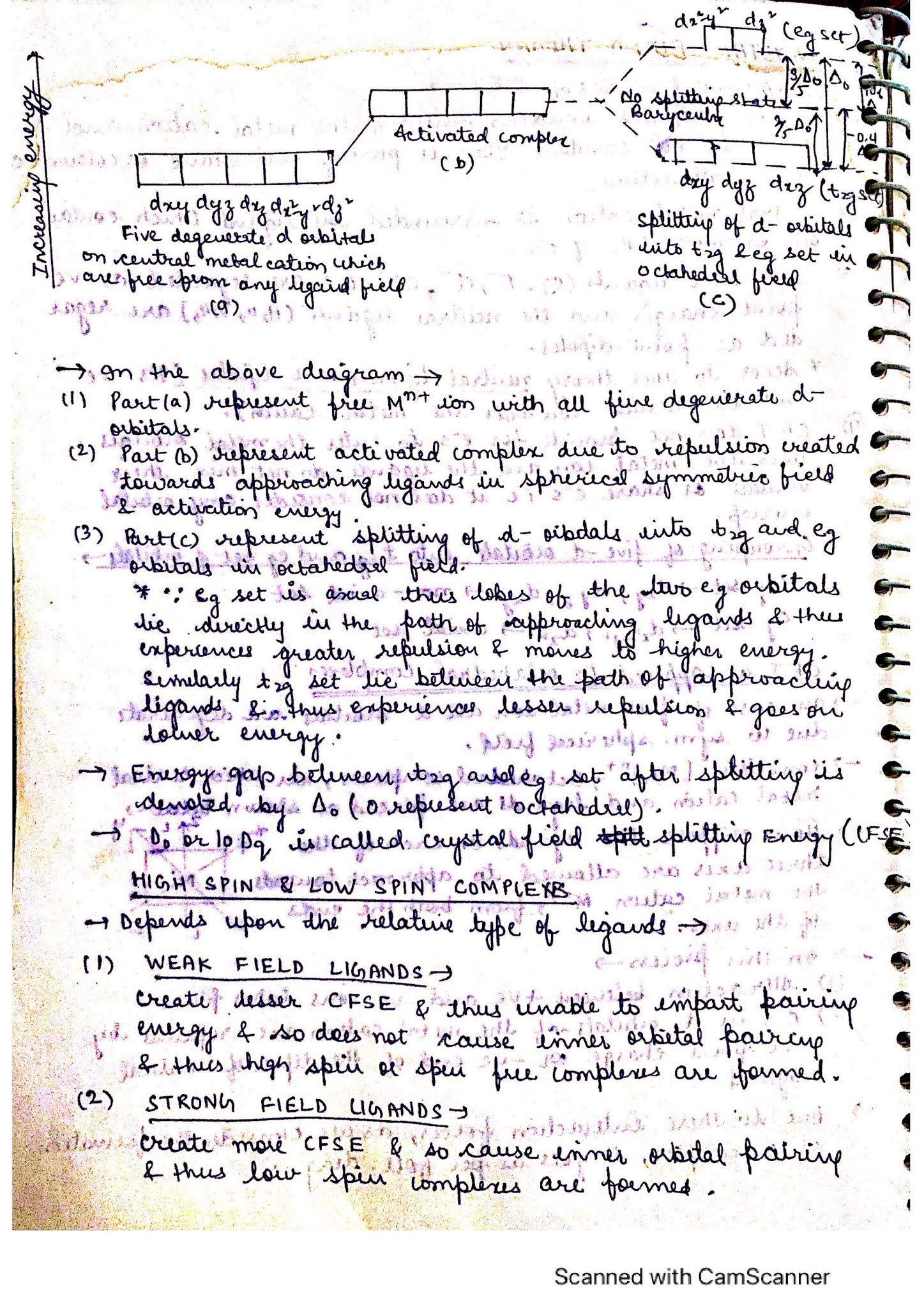 Chemistry Chapter 9 - Coordination Compounds Class 12 Handwritten Notes ...