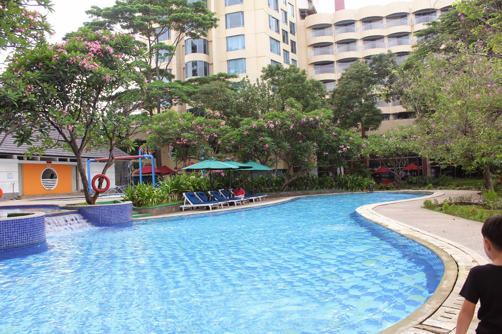 Stay, Stray, Play and Feast: Mercure Hotel Ancol Jakarta Indonesia Series 1