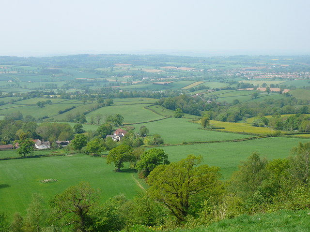 Read All the Things: Ottery St Catchpole