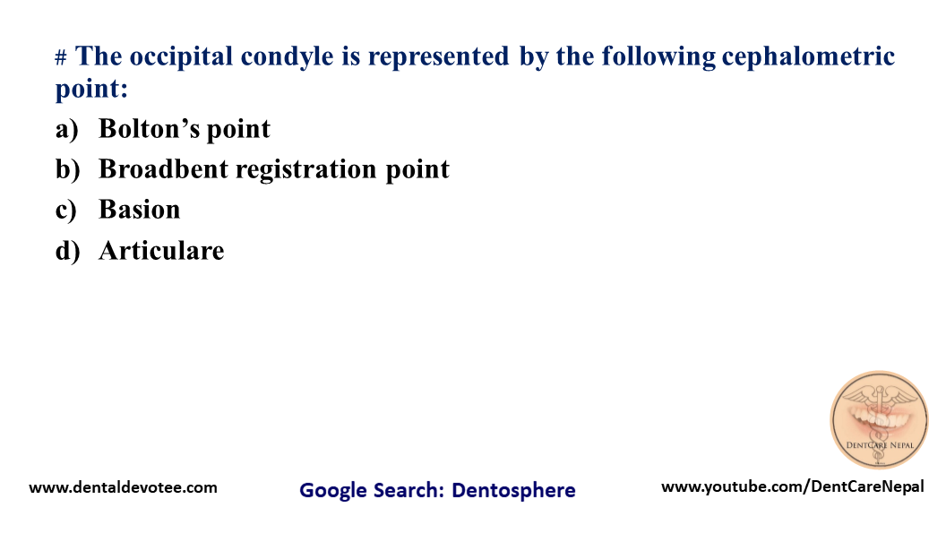Dentosphere : World of Dentistry: The occipital condyle is represented ...