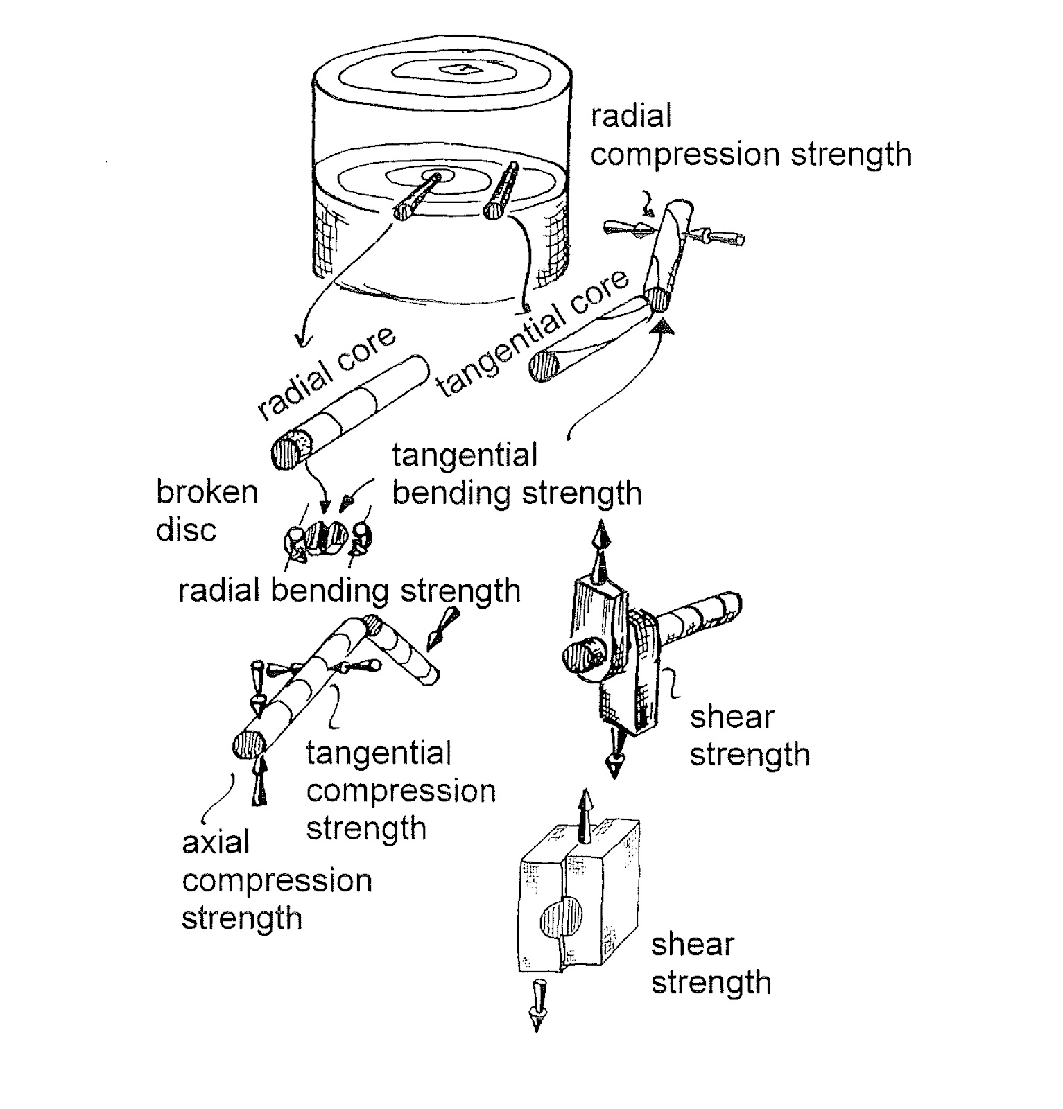微破壞儀fractometer | 樹沃客樹藝