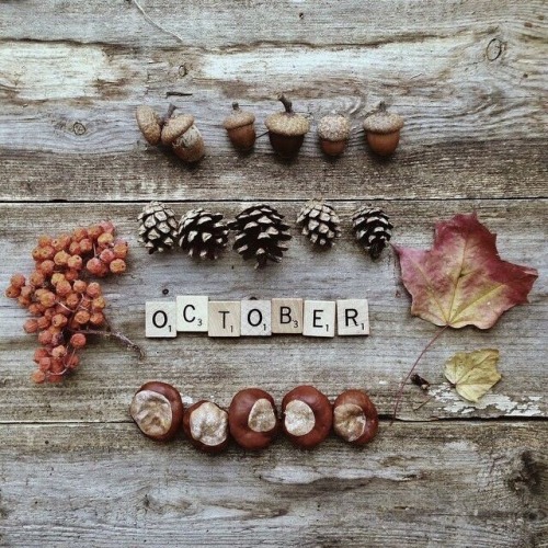 Hello October Photography