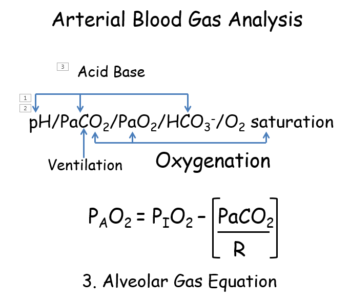 Tutor's Notes: general, cardiovascular, respiratory and renal ...