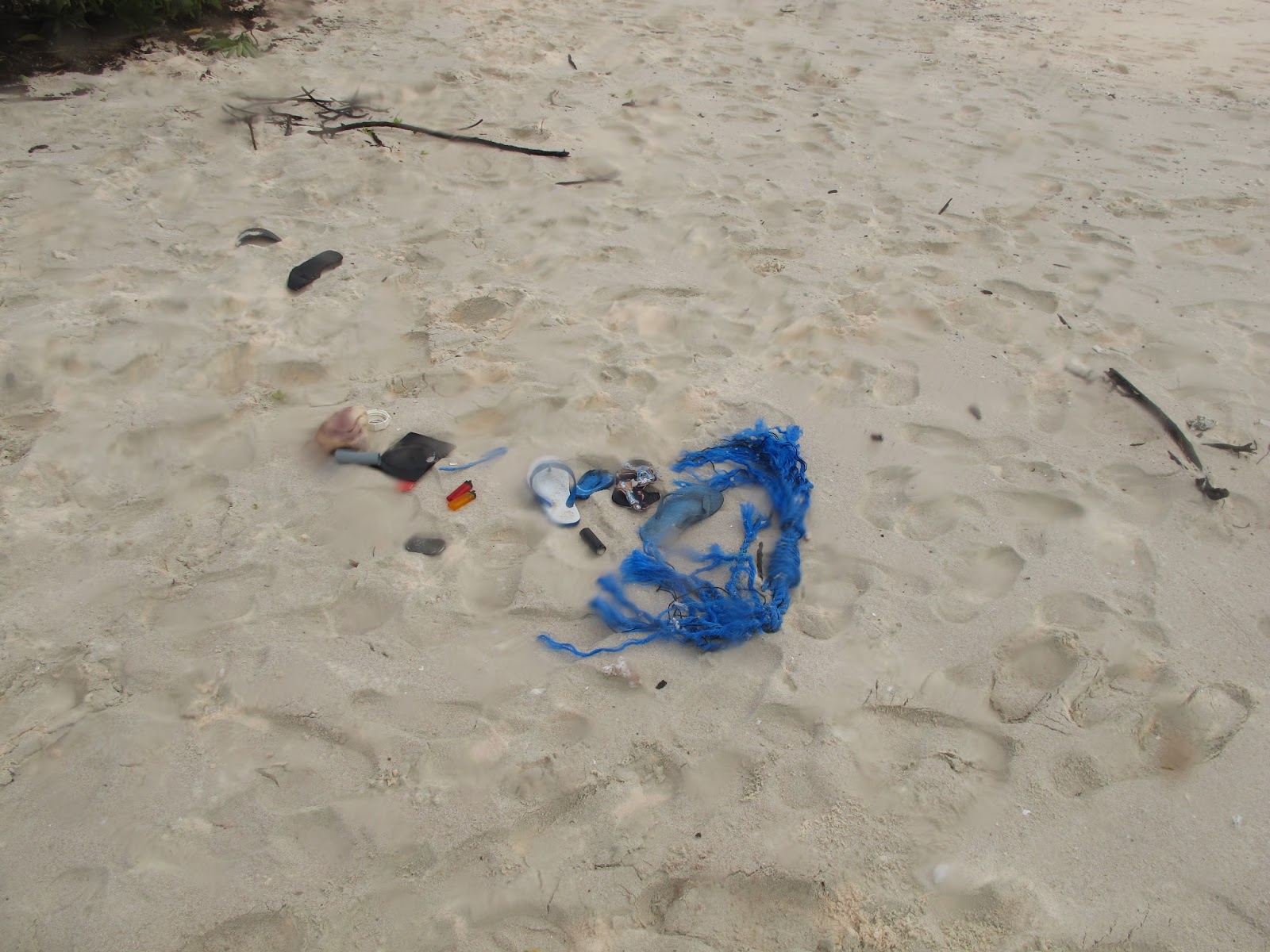 Phoenix Islands Blog