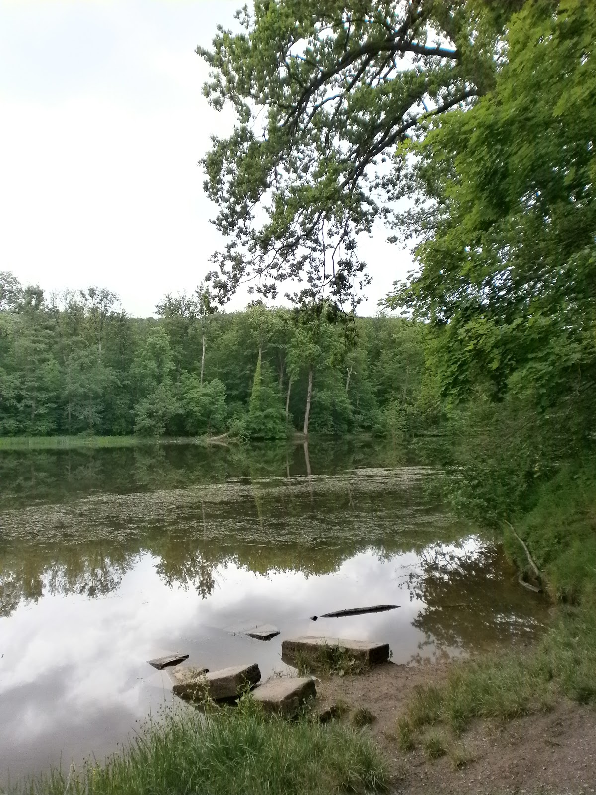 Wege in der Region Stuttgart: Vom Katzenbacher Hof rund um den ...