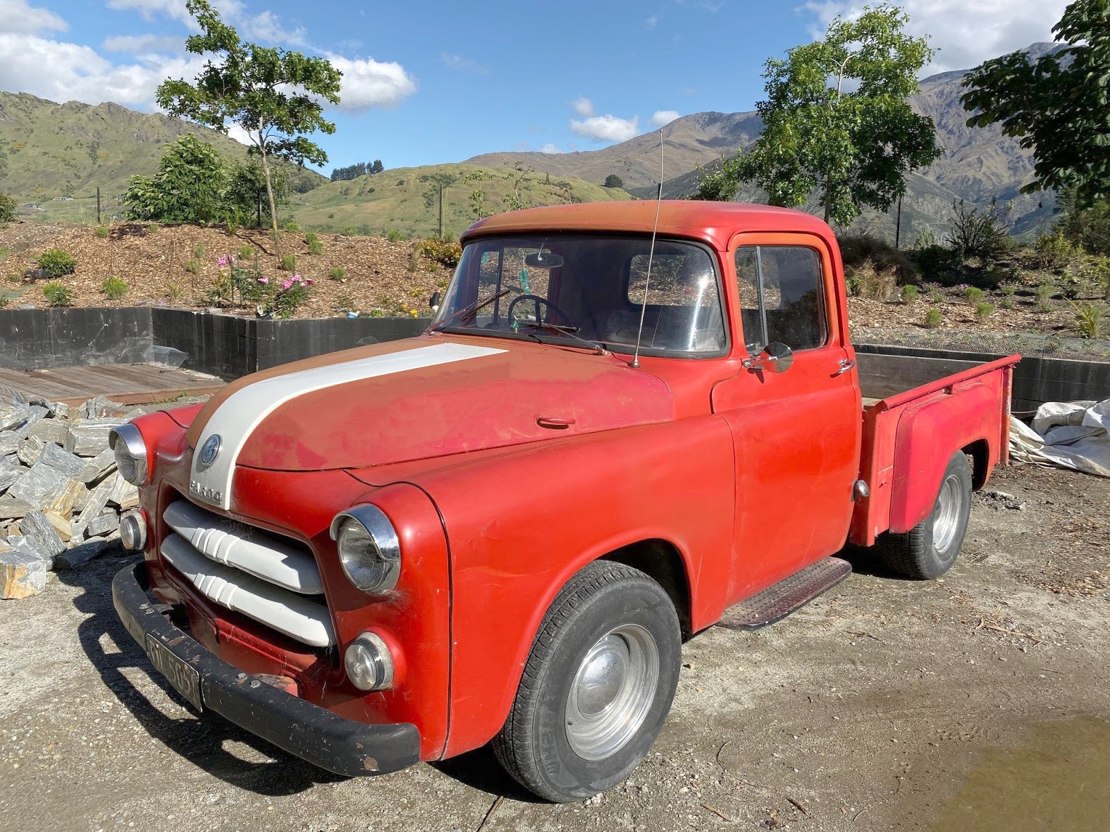 transpress nz: 1955 Dodge Fargo pickup