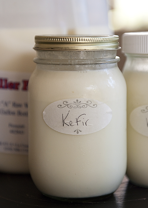 The Hippy Home: Homemade Kefir and the Health Benefits of Probiotics in ...