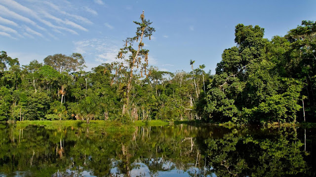 PARQUE NACIONAL YASUNÍ