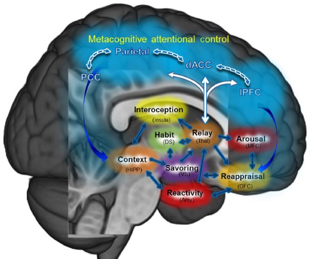WHAT IS ADDICTION? - For Good Life