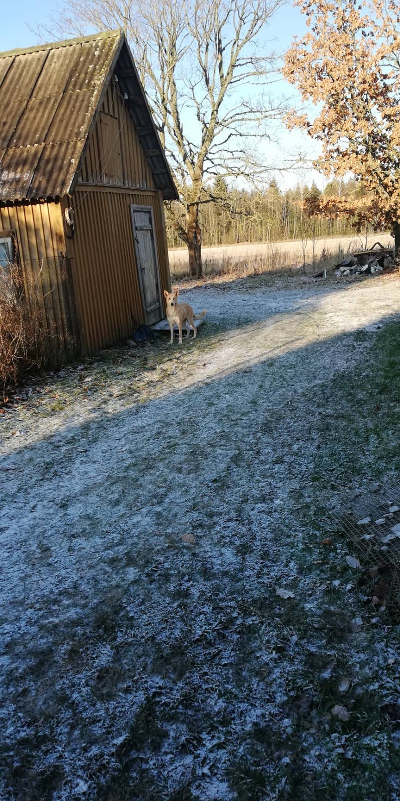 Heiksi blogi: "Tere uus kriminaalsüüdistus!"