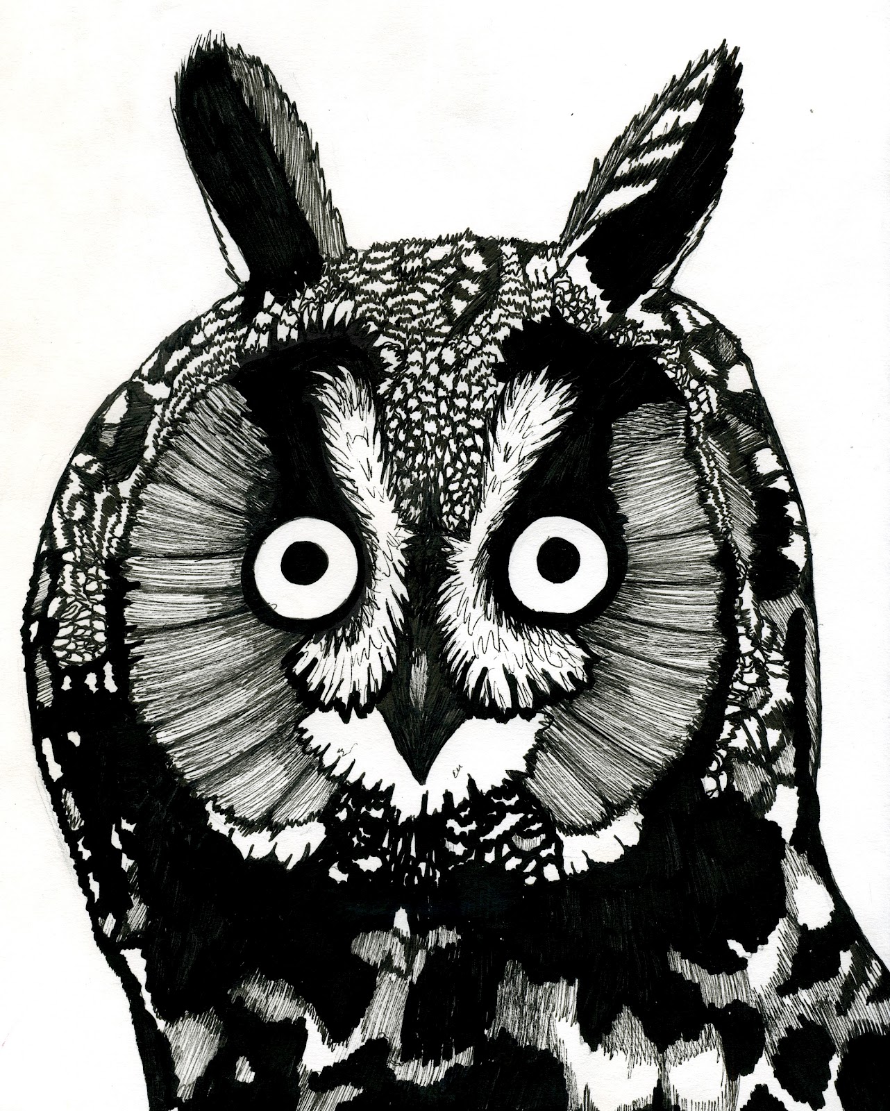 Final Major Project: Owl designs