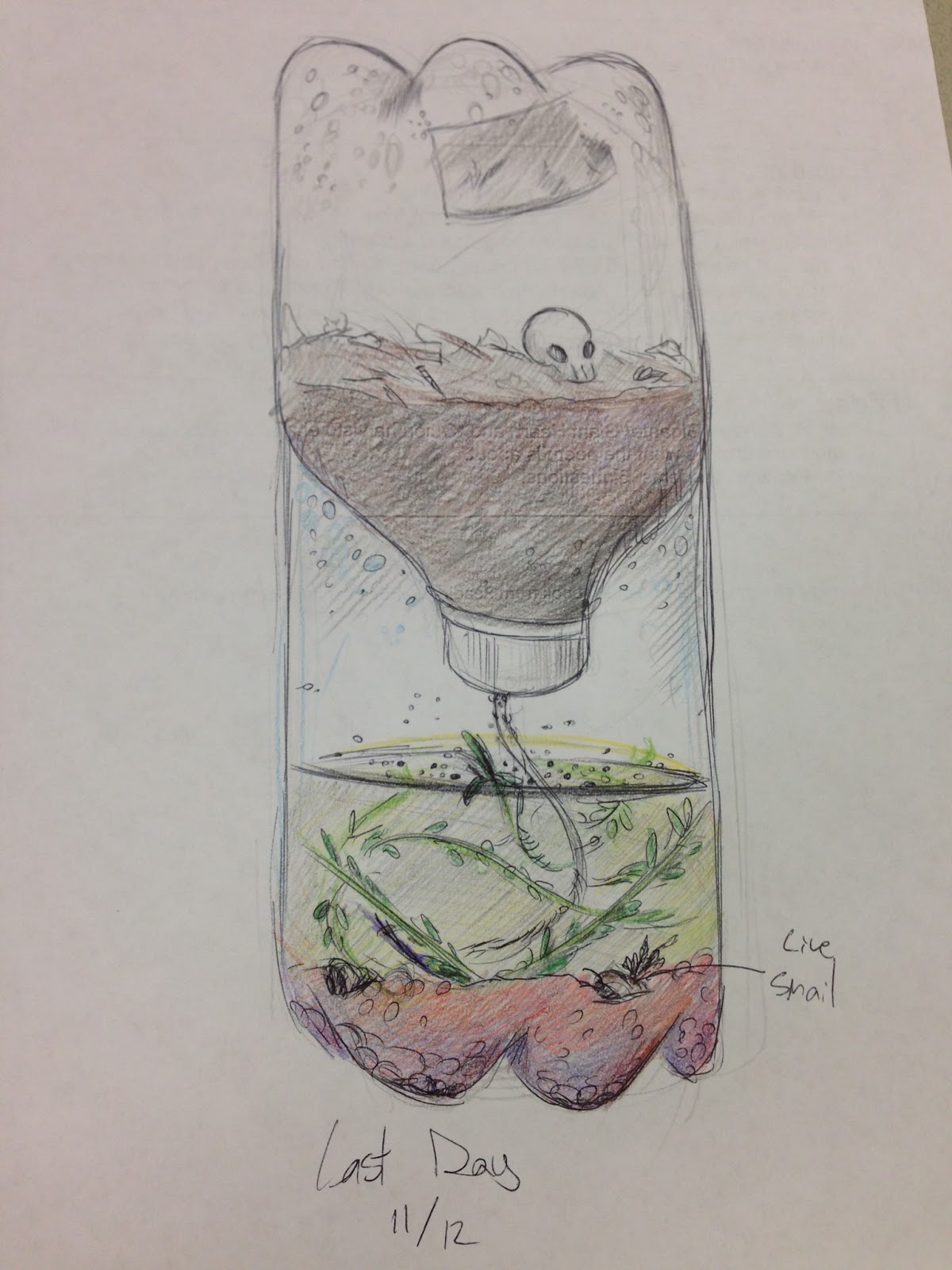 Ecosystem Inside a Bottle