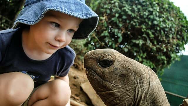 8 Fun Things To Do With Kids Near Me 8-fun-things-to-do-with-kids-near-me