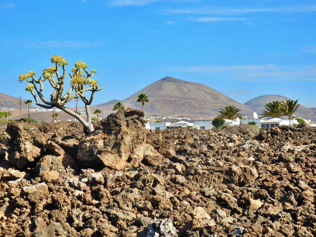 Mike's Cornwall: On Tour: City of Bath and the Roman Baths