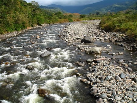 ECOSISTEMAS DE COSTA RICA: RESERVA FORESTAL RÍO MACHO