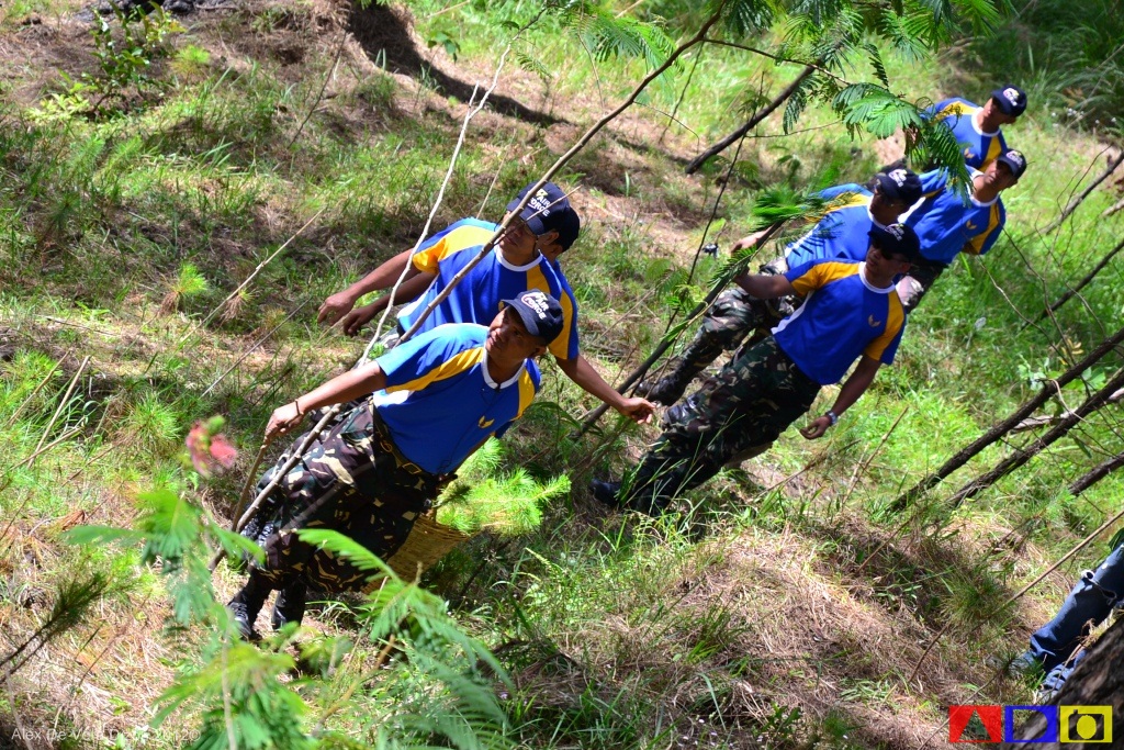 Baguio, its time to plant more trees! - Recycle Bin of a Middle Child