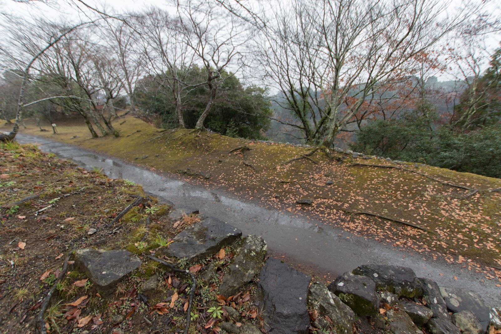 Oka Castle -Fierce battle for fate and fame (6) -Brave general and ...