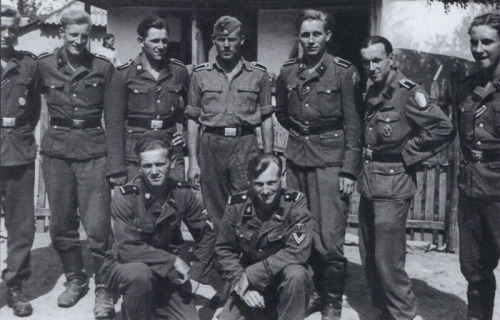 Armour force / Panssaroitu voima : Finnish volunteer (deposit) Battalion