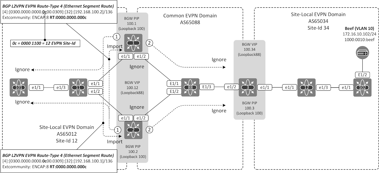 The Network Times: VXLAN EVPN Multi-Site