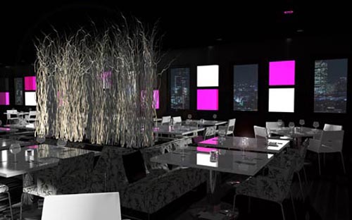 Beauty Houses: Purple Cafe Interior Designs Ideas