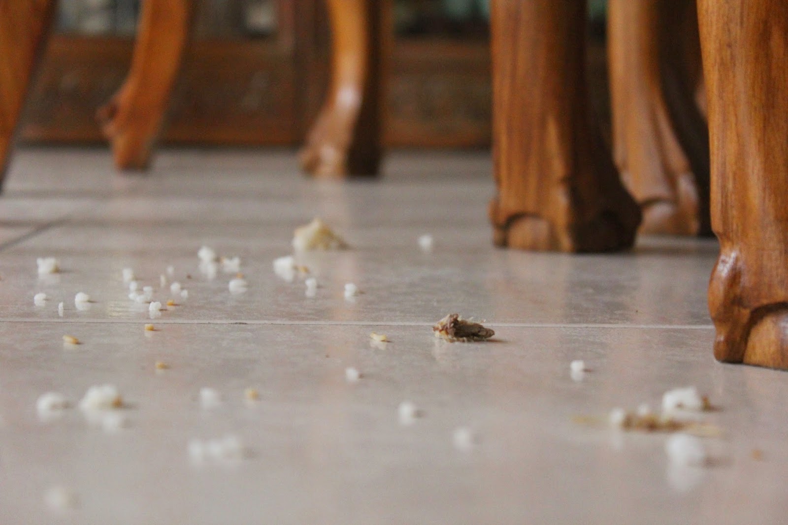 The priest and the world as he sees it: The persevering woman who ...